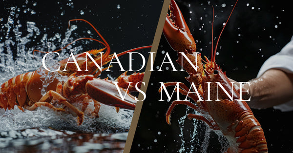 Canadian Lobster vs. Maine Lobster: Elevating Your Guest Experience wi - Lobster Boys