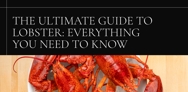 The Ultimate Guide to Lobster: Everything You Need to Know - Lobster Boys