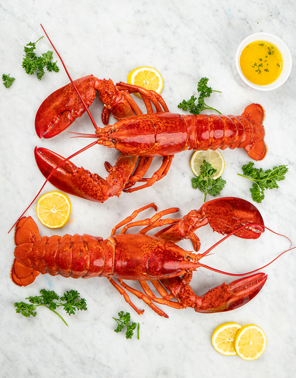 Deuces - Family Box (4 pcs) - Lobster Boys