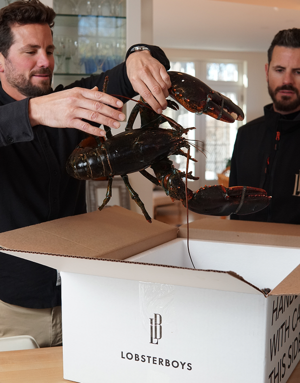 Halves - Family Box (5 pcs) - Lobster Boys