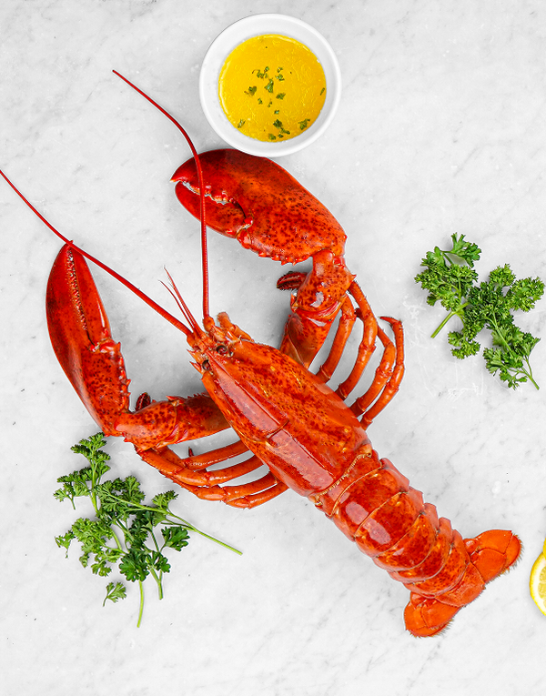 Large Jumbos - Chef Box (5 pcs) - Lobster Boys