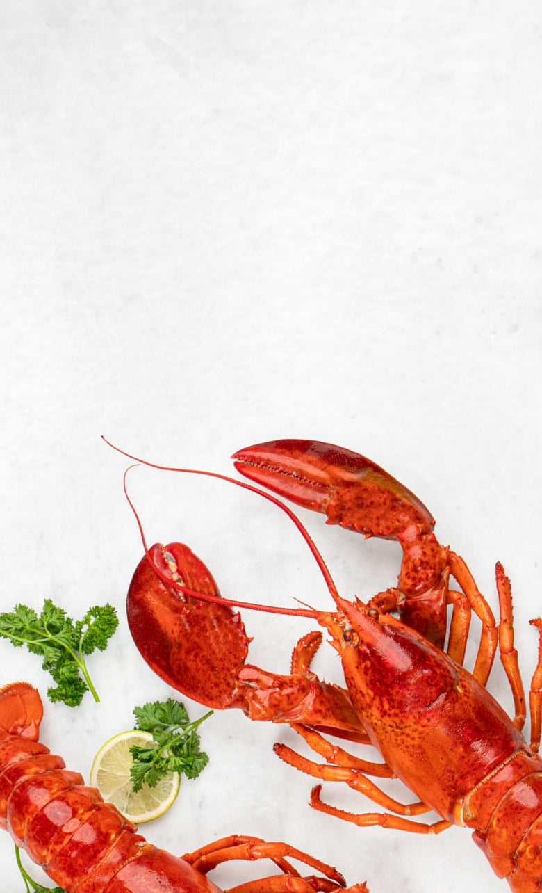 Delivering the World's Finest Lobsters - Order Your Live Lobster Today